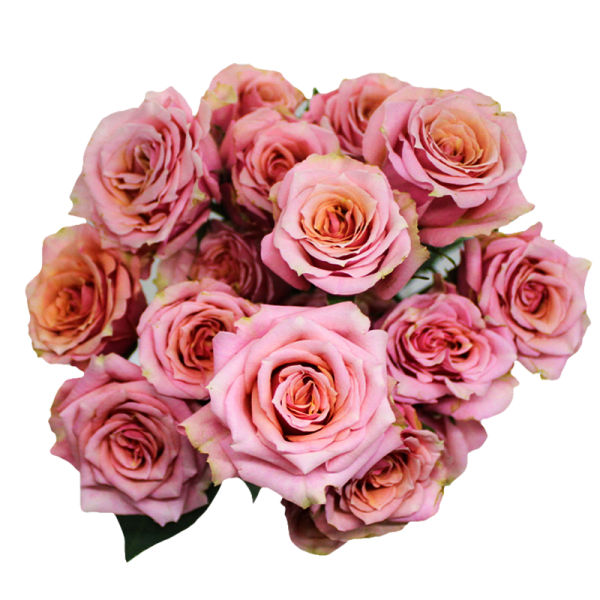 Classic Look Spray Roses - Ponte Tresa