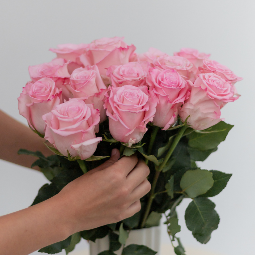 Rhoslyn - Ponte Tresa