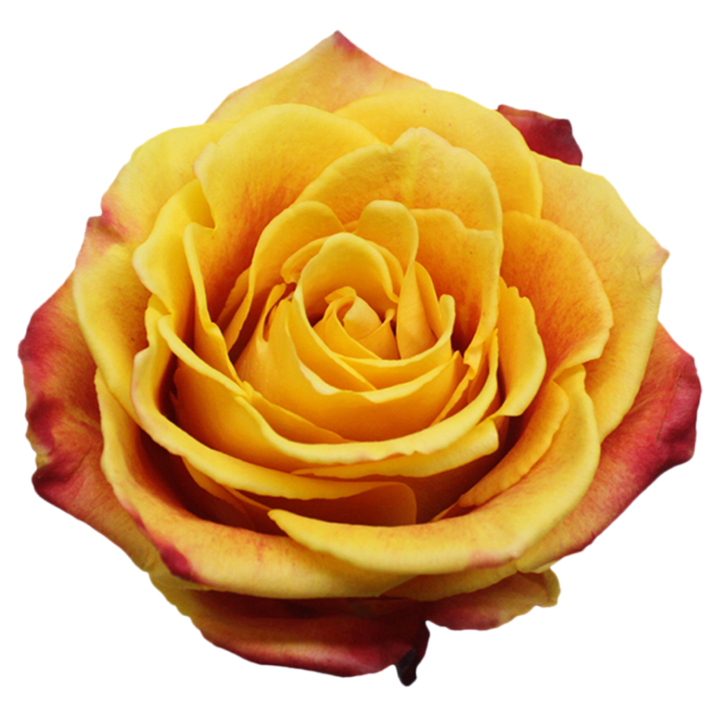 Silantoi - Ponte Tresa