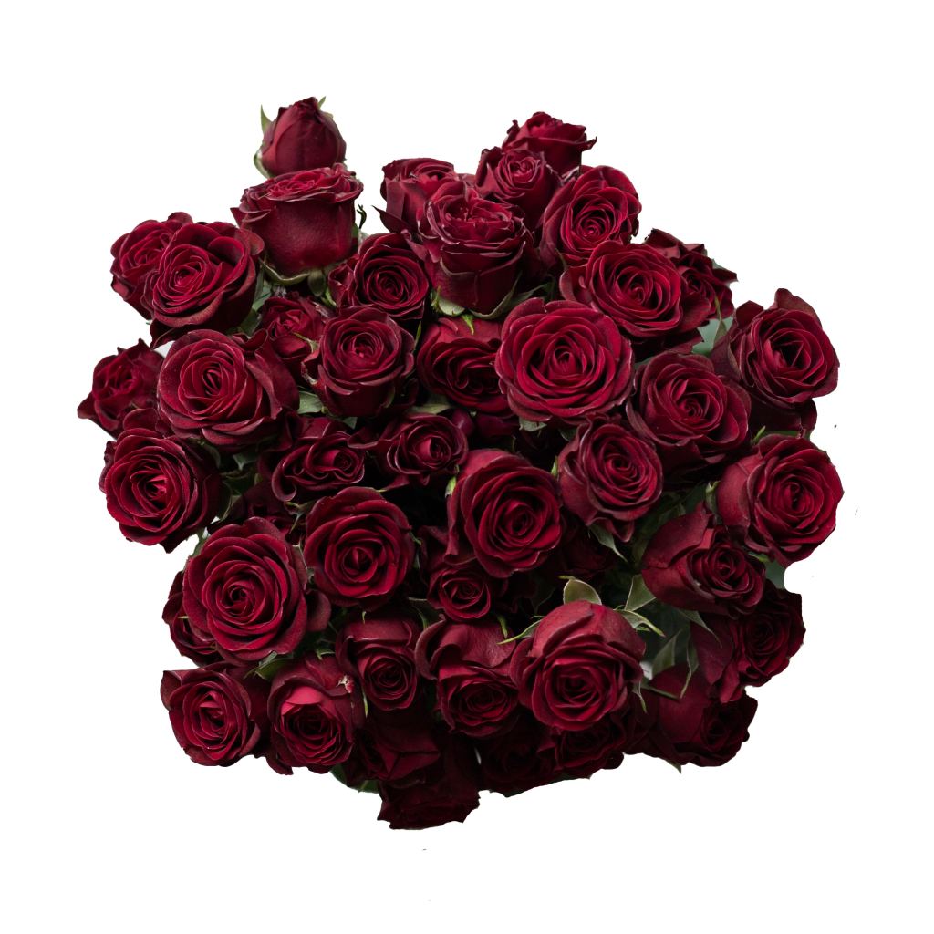 Verona - Ponte Tresa