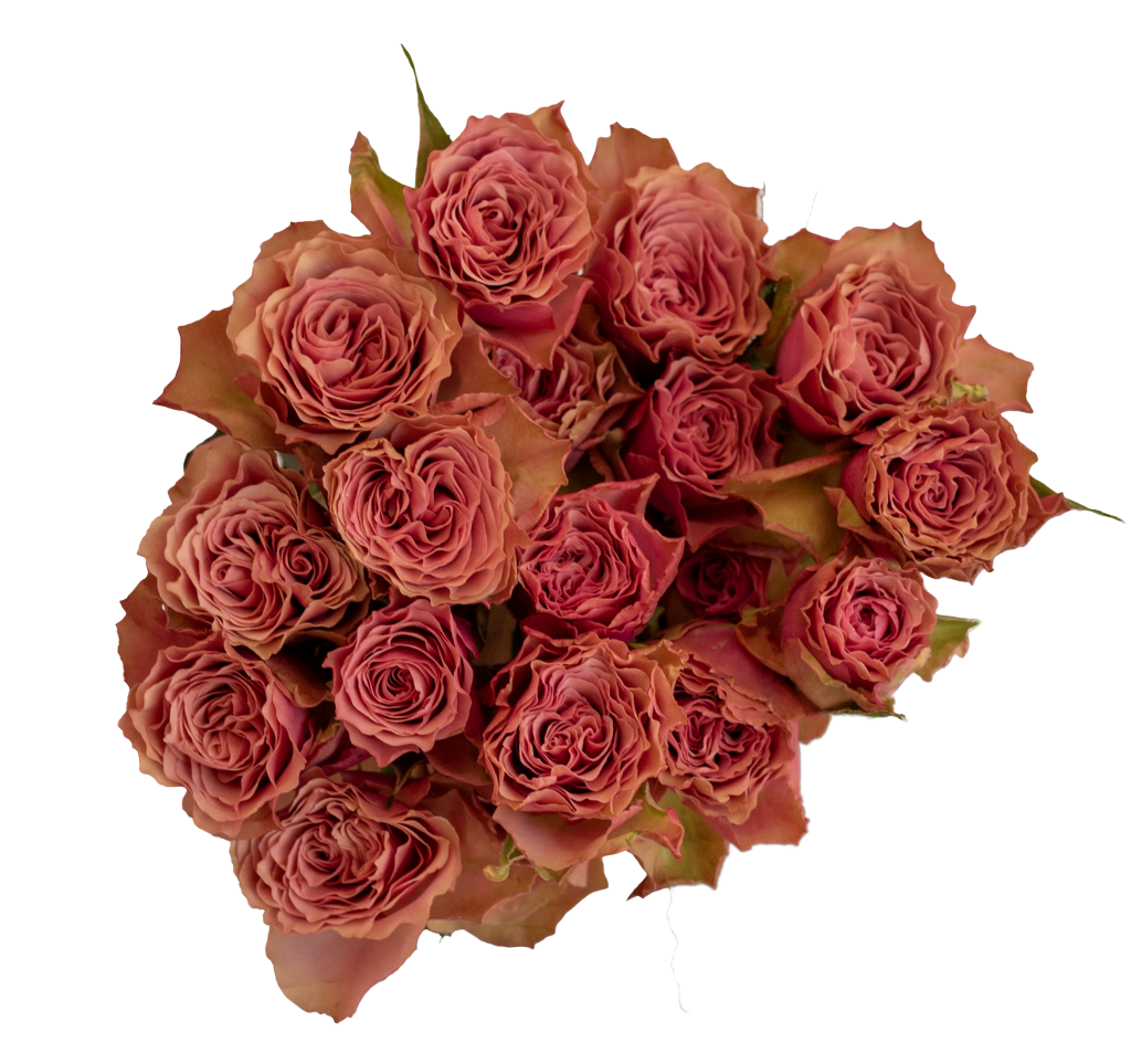 Vintage Rosever - Ponte Tresa